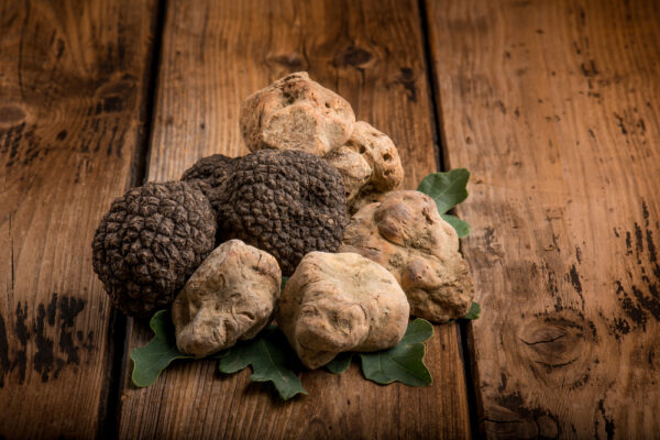 The Exquisite World of Fresh Truffle Varieties – Khosh Truffle